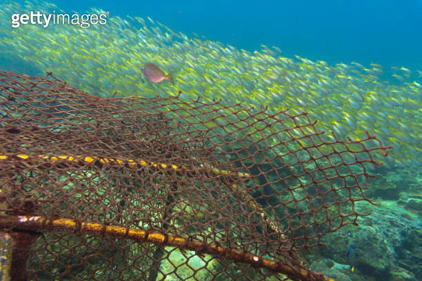 Discarded Fishing Ghost Nets in Ocean Environmental Damage 이미지 ...