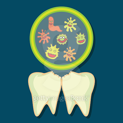tooth bacteria and tooth for dentistry / stomatologist / dental clinic ...