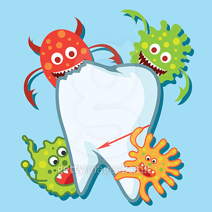 tooth bacteria and tooth for dentistry / stomatologist / dental clinic ...