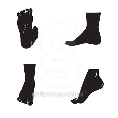 Human leg, foot vector icon isolated on white background. 이미지 ...