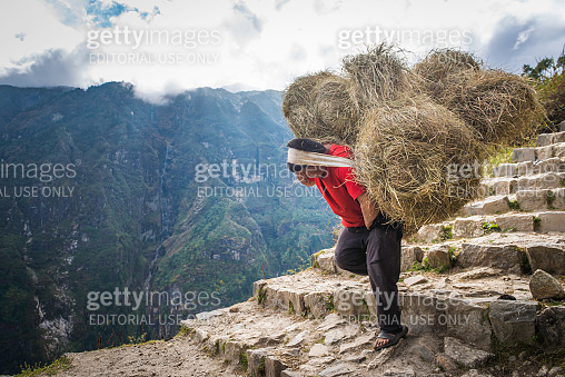 Sherpa porter carrying heavy load using headband Himalaya mountains ...