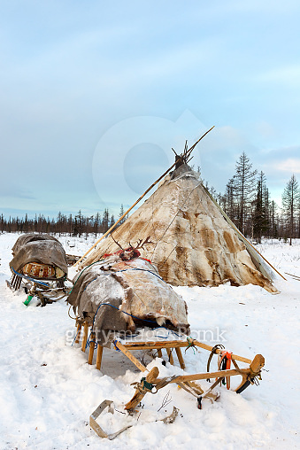 Camp of nomadic tribe in the polar tundra at a frosty day. (666314912 ...