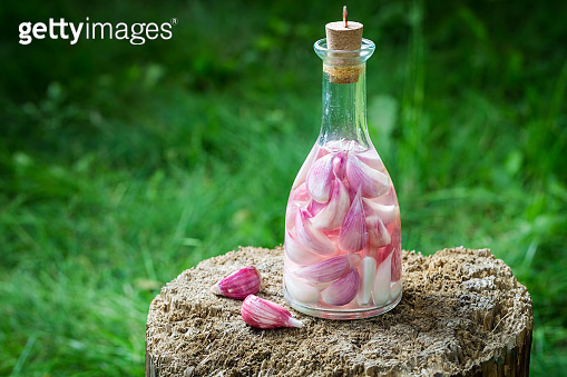 Natural liqueur with garlic and alcohol in summer (801556534) - 게티이미지뱅크