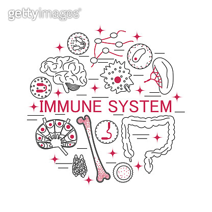 immune system icon set 이미지 (884125414) - 게티이미지뱅크
