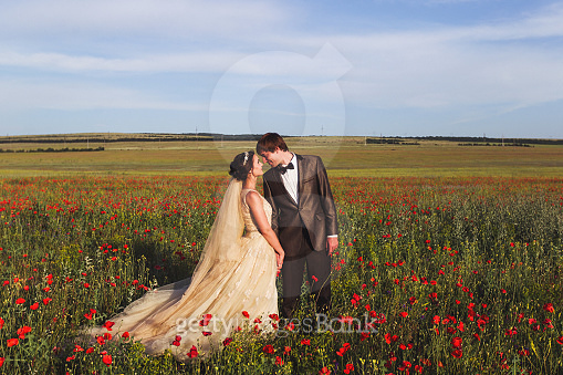 Newlyweds walking in amazing blossoming flowers field. Scope and ...