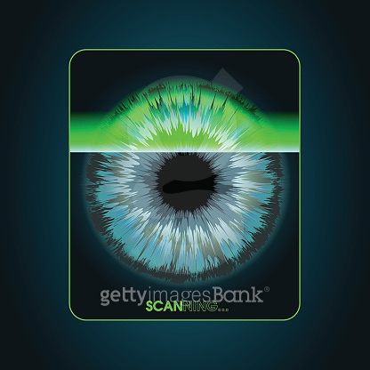 The scanning system of the retina, biometric security devices ...