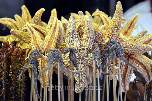 Fried starfish and fried Seahorse - China traditional food at ...