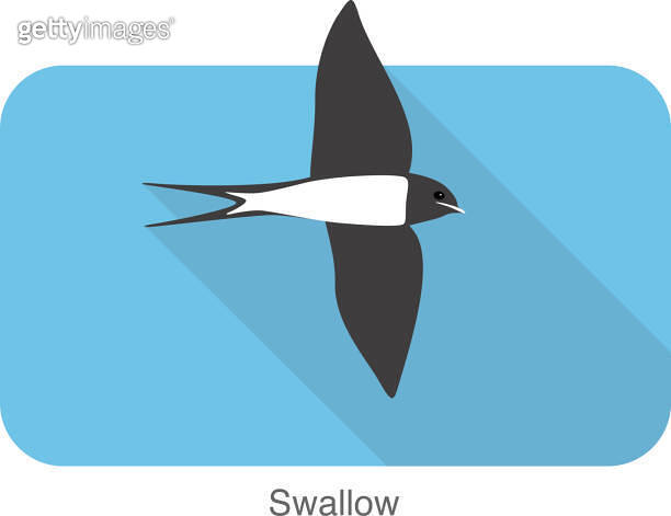 swallow flat icon design, cartoon vector illustration (875043022) 일러스트 ...