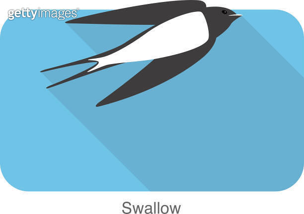 swallow flat icon design, cartoon vector illustration (875082068) 일러스트 ...