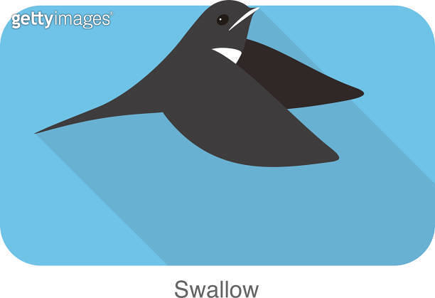 swallow flat icon design, cartoon vector illustration (875042922) 일러스트 ...