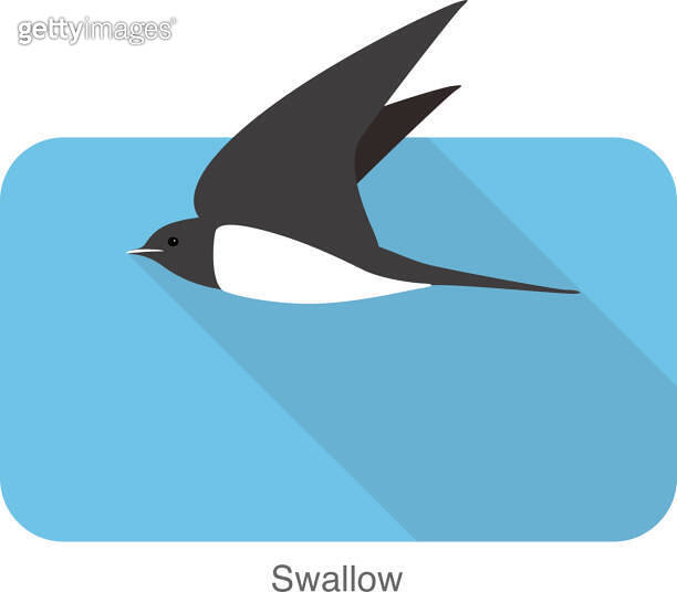 swallow flat icon design, cartoon vector illustration (875043032) 일러스트 ...