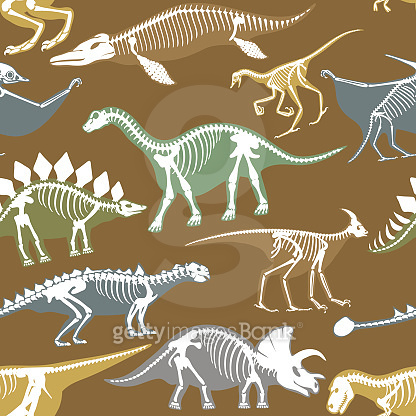 Dinosaurs skeletons silhouettes bone tyrannosaurus prehistoric animal ...
