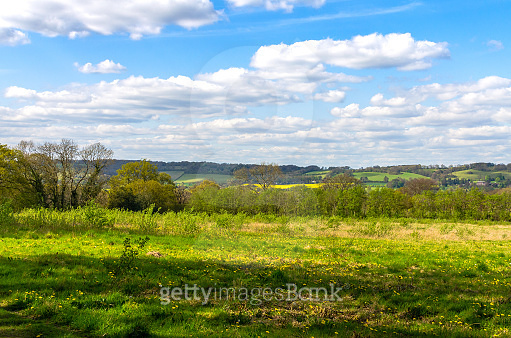 Plants blooming in spring in the Kentish countryside 이미지 (678795742 ...