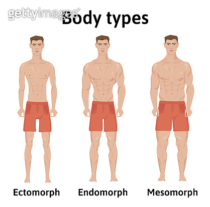 Constitution of human body. Man body types. Endomorph, ectomorph and ...