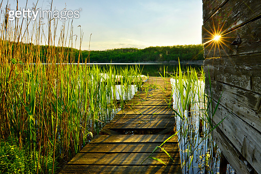 Peaceful Calm Lake at Sunset, last sunbeam on Wooden Pier amongst Reeds ...