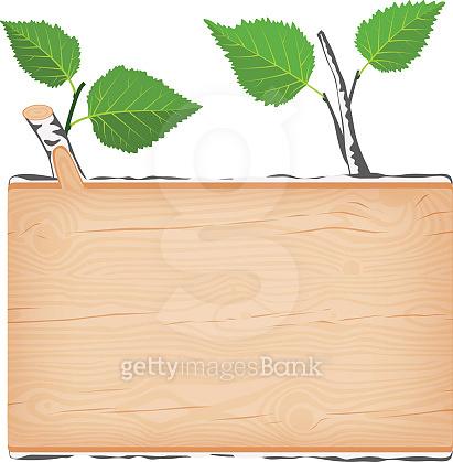 Birch wooden log signboard with green leaves 이미지 (641565592) - 게티이미지뱅크