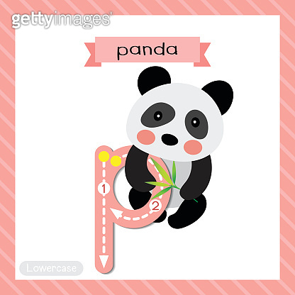 Letter P lowercase tracing. Sitting Chinese Panda bear 이미지 (849312884 ...