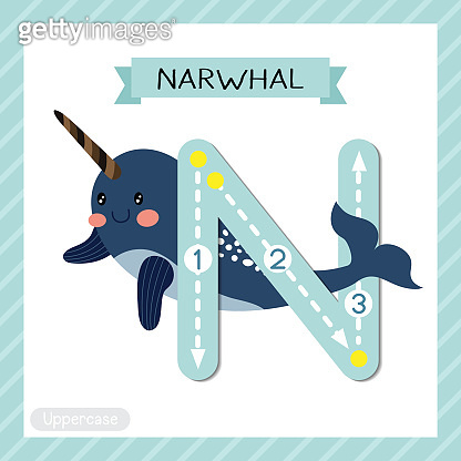 Letter N uppercase tracing. Dark blue Narwhal 이미지 (849312856) - 게티이미지뱅크