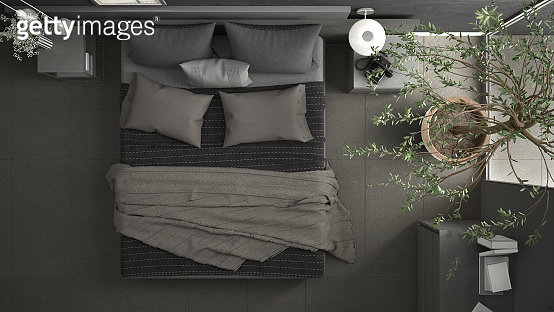 Modern bedroom with window, chest of drawer and big olive tree ...