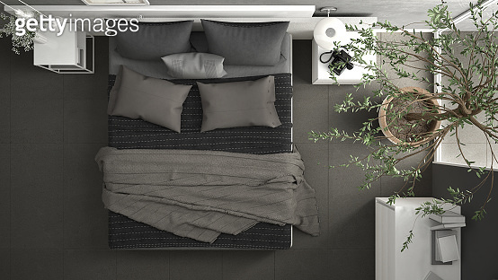 Modern bedroom with window, chest of drawer and big olive tree ...