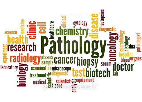 Pathology, word cloud concept 3 이미지 (658826830) - 게티이미지뱅크