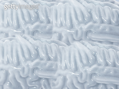 Frozen brain cryogenic concept. Cerebellum. Human brain freeze 3D ...