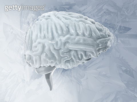 Frozen brain cryogenic concept. Cerebellum. Human brain freeze 3D illustration 이미지 (844092082 ...