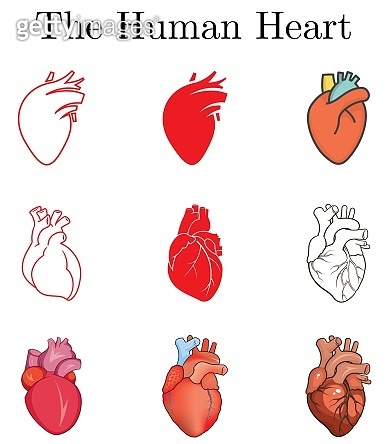 Different illustrations for human heart. Simple images for human heart ...