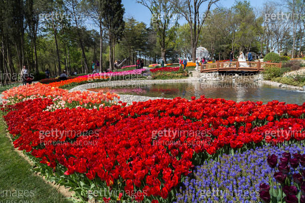 Traditional Tulip Festival in Emirgan Park, a historical urban park ...