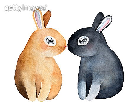 Two cute bunnies kissing with noses. Romantic date, meeting. Black gray ...