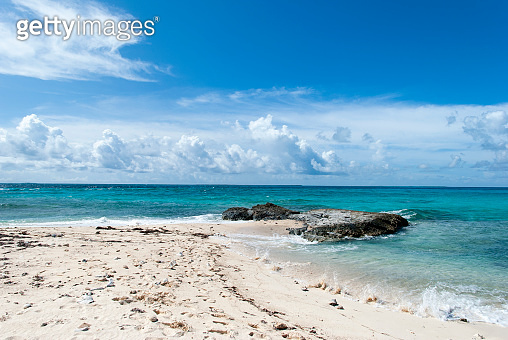 Grand Turk Beach Shells 이미지 (851049490) - 게티이미지뱅크