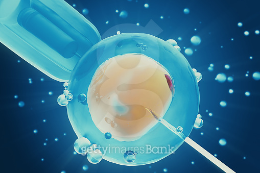 3d illustration Artificial insemination process. Glass needle ...