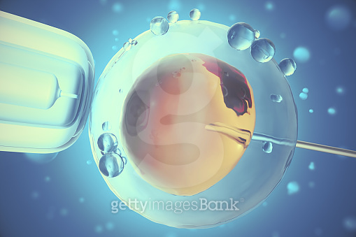 3D Illustration of artificial insemination or in-vitro fertilization of ...