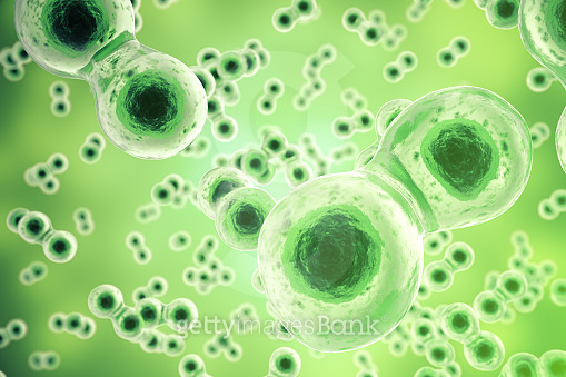 Green cell background. Life and biology, medicine scientific, molecular ...