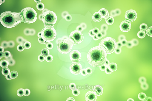 Green cell background. Life and biology, medicine scientific, molecular ...