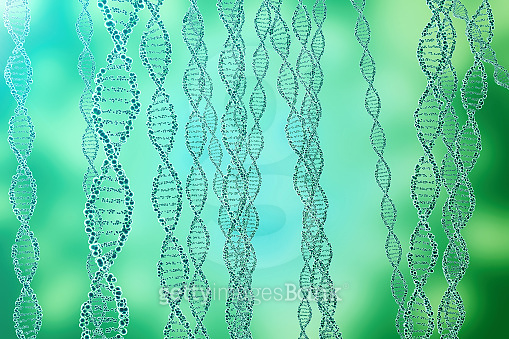 DNA molecule, structure. Close-up of concept human genome. 3d ...