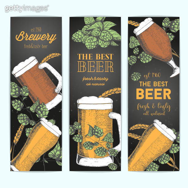 Banner set with beer glasses, barley and hops. Vector illustration in ...