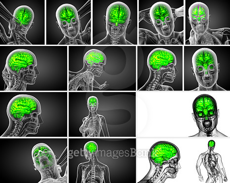3d rendering medical illustration of the brain - back view (656971828 ...