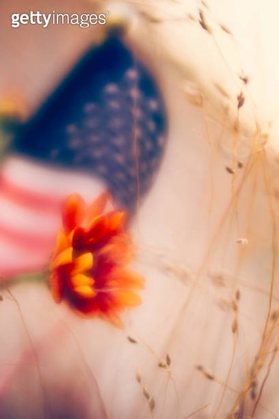 Autumn patriotic background with American flag in sunlight 이미지 ...