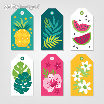 Set of summer Gift Tags with pineapple, palm leaves, watermelon ...