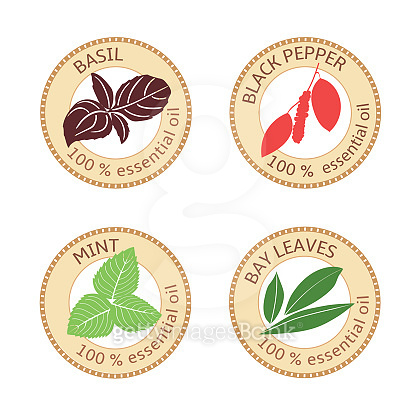 Set of flat essential oil labels. 100 percent. Bay leaves, basil, black ...