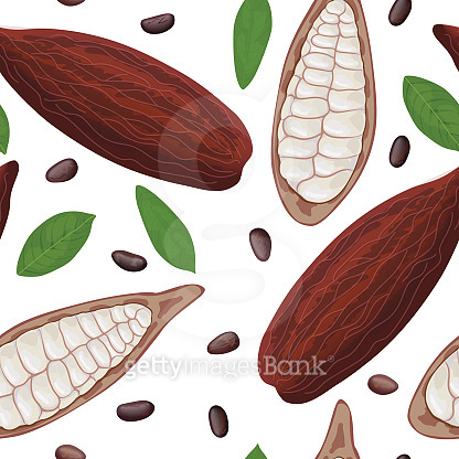 Fresh ripe Cocoa fruit seamless pattern vector. Cacao pod leaves and ...