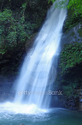 Waterfall of Biwa (Biwa no Taki) in Japan (864066100) - 게티이미지뱅크