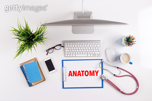 Office desk with ANATOMY paperwork and other objects around, top view ...