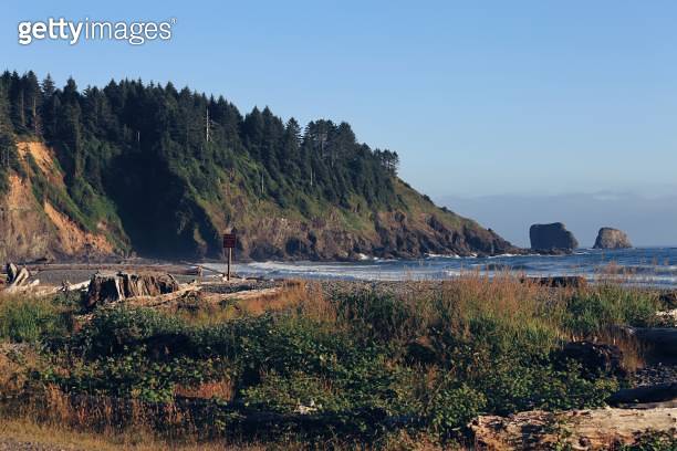 Morning, Quileute Tribe Indian Reservation La Push Driftwood, Beach ...