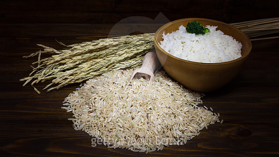 rice grain, cooked rice, rice plant, thai jasmine rice 이미지 (636677080 ...