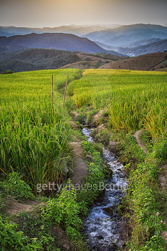 rice terraces 이미지 (626789308) - 게티이미지뱅크