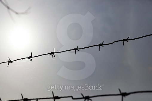 barbed wire, close-up 이미지 (647977864) - 게티이미지뱅크