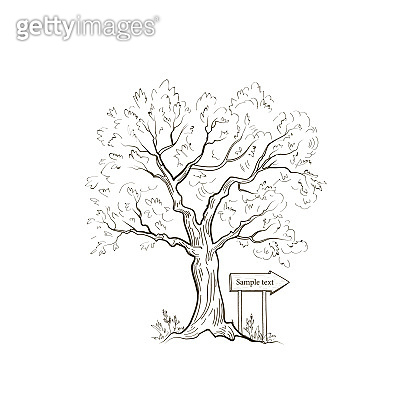 Tree, arrow sign. Summer nature landscape Outdoor signpoint (864435470 ...