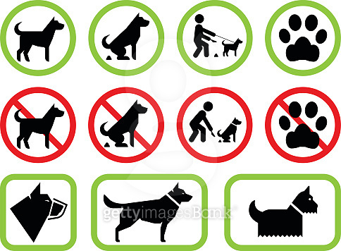 Signs of restriction and permission regarding pet dogs (697992946) - 게티 ...